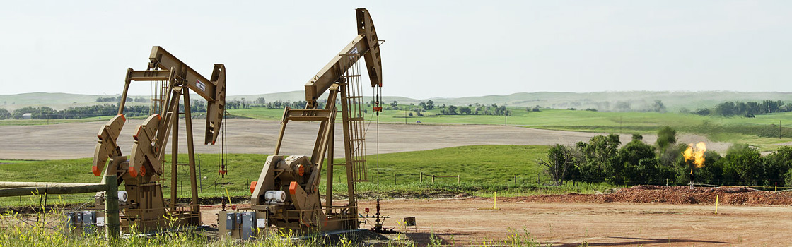 Working to prevent work-related injuries and illnesses and train ...